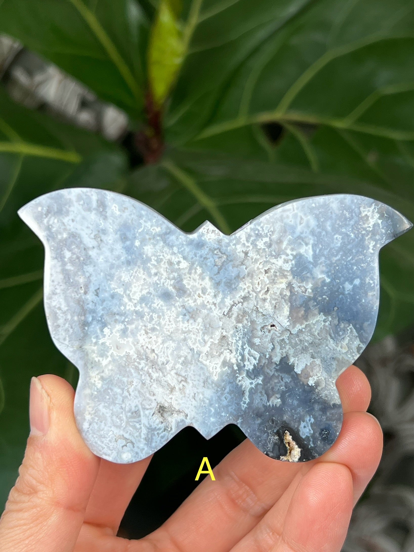 Blue Plume Agate Butterfly – oakandquartz